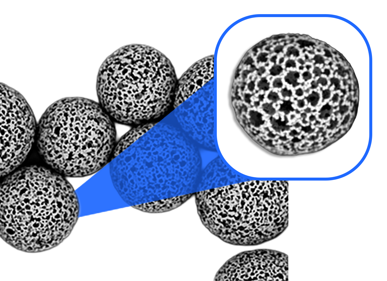 AVIPure® AAV Affinity Resins